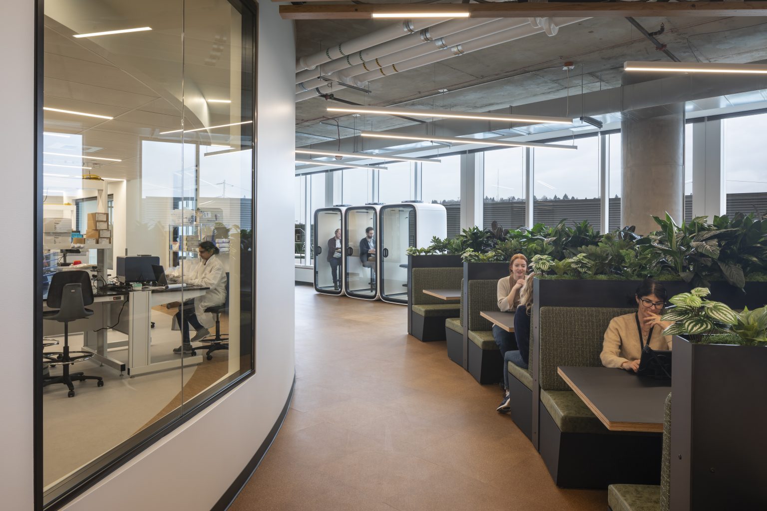 Envisioning Healing: Umoja Biopharma Launches Seattle HQ – Boulder ...